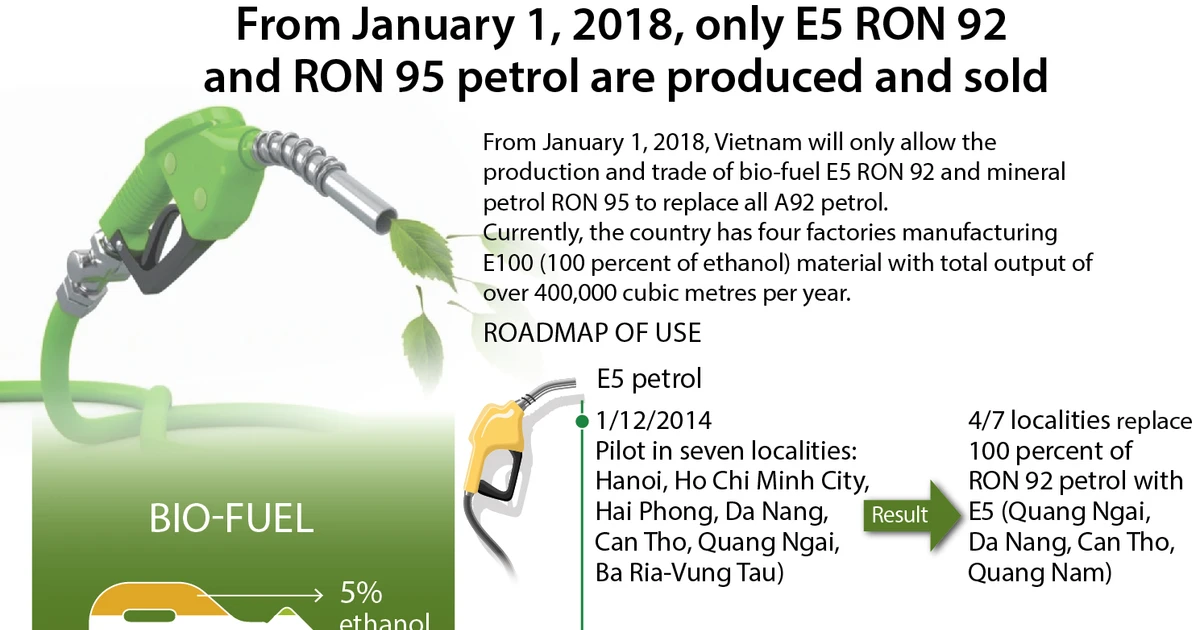 Only E5 RON 92, RON 95 petrol sold from 2018 | Vietnam+ (VietnamPlus)