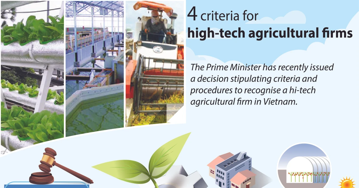 Four criteria for high-tech agricultural firms | Vietnam+ (VietnamPlus)