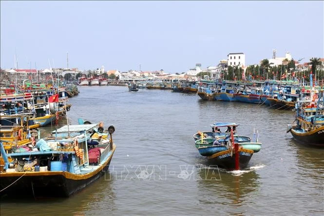 Lam Dong rolls out peak drive against IUU fishing