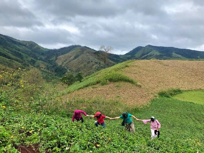 Vietnam’s dormant volcanoes: nature’s masterpieces await exploration ...