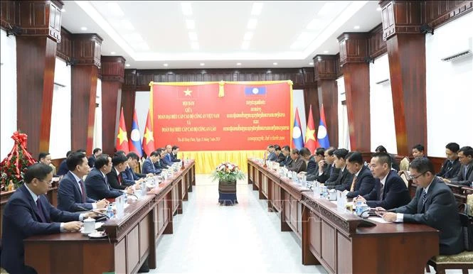 Vietnam, Laos strengthen cooperation in crime combat | Vietnam+ ...