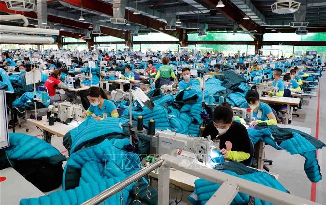 Vietnam's textile export turnover hits 44 billion USD in 2024 ...