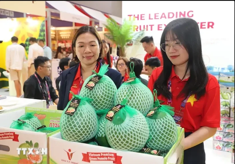 Vietnamese vegetables, fruits promoted at Asia Fruit Logistica ...