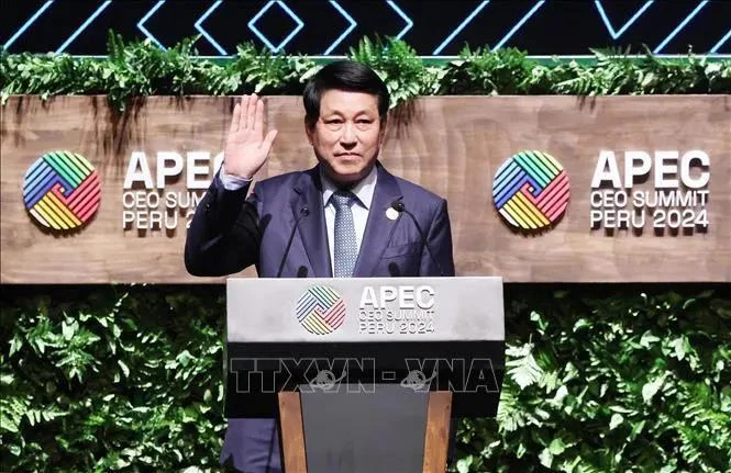 State leader highlights message about trust in bright future at APEC CEO Summit 2024 | Vietnam+ ...