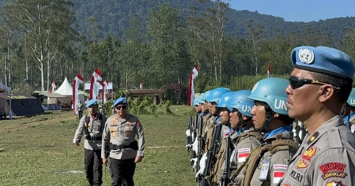 Indonesia among top contributors to UN peacekeeping missions | Vietnam+ ...