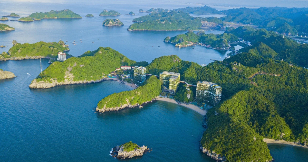 Sustainable livelihoods promote green development, ecosystem ...