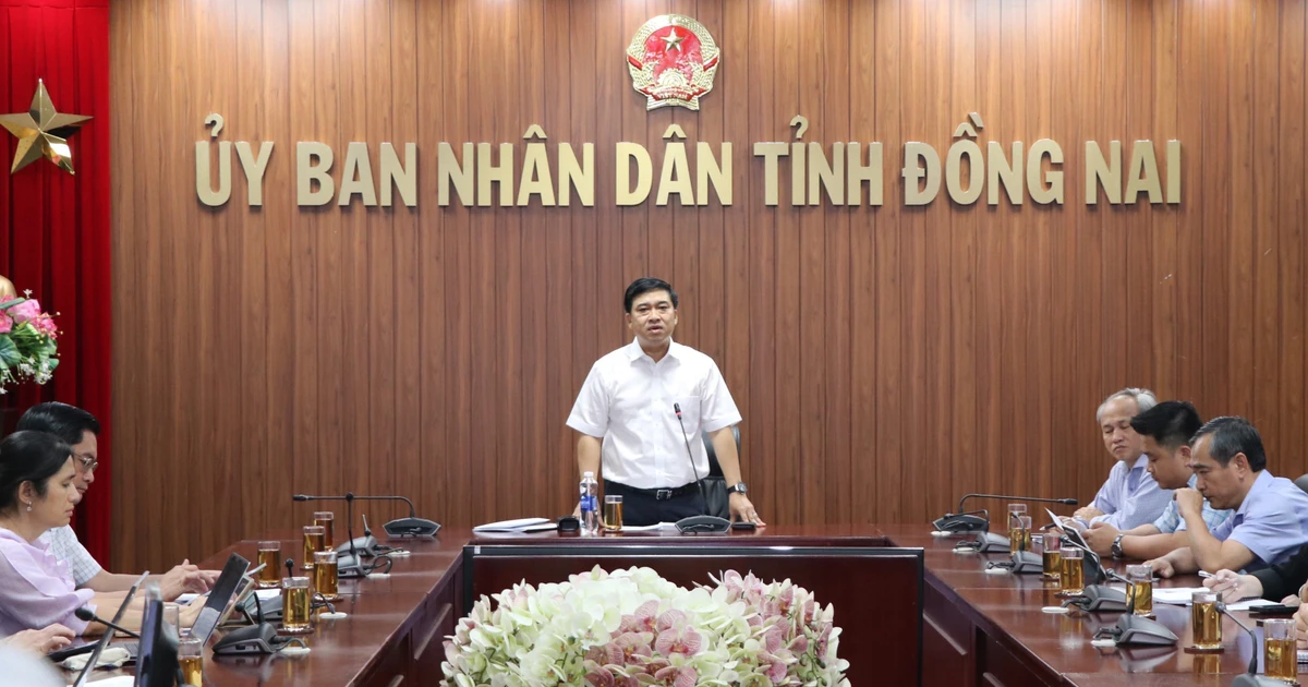 Vietnam to break ground on Cat Lat bridge in 2026 to link Long Thanh ...