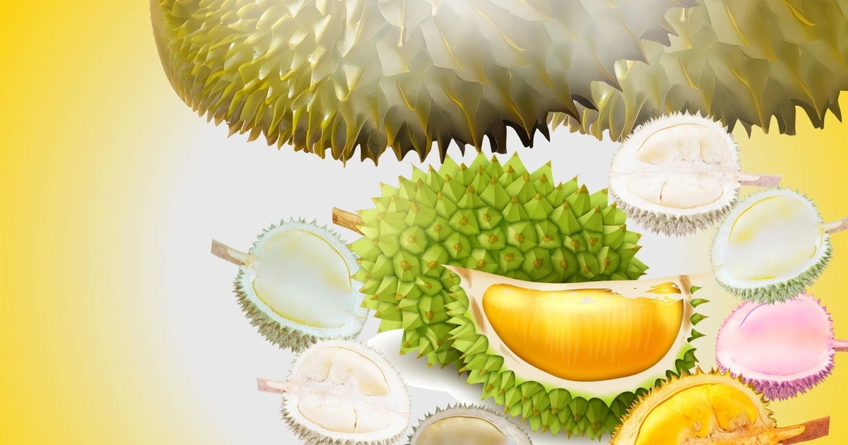 Why durian became Vietnam's "king of exported fruits" | Vietnam+ ...