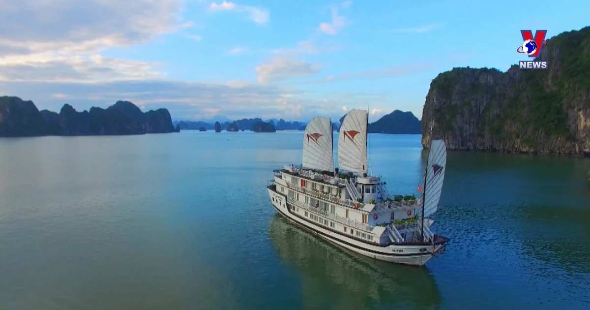 Ha Long Bay - Cat Ba Archipelago recognised as World Geological Heritage | Vietnam+ (VietnamPlus)