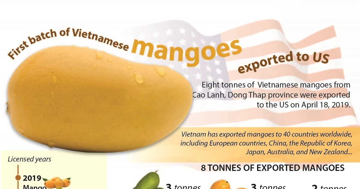 First batch of Vietnamese mangoes exported to US | Vietnam+ (VietnamPlus)