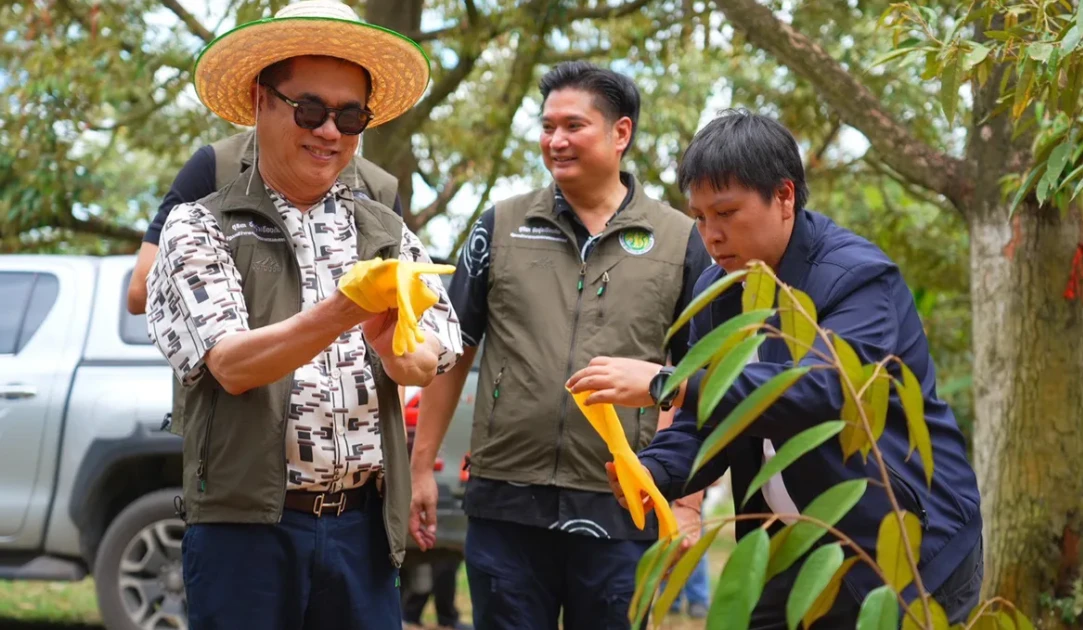 Thailand tightens durian quality control