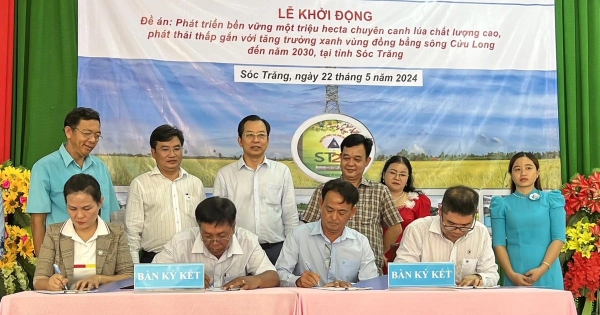 Soc Trang kicks off sustainable high-quality rice project | Vietnam+ ...