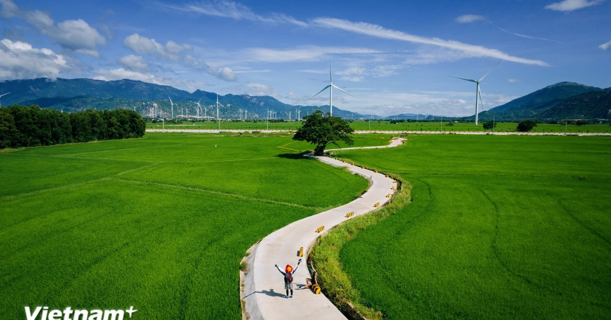 Vietnam tourism maps out long-term growth scenarios for 2026-2031