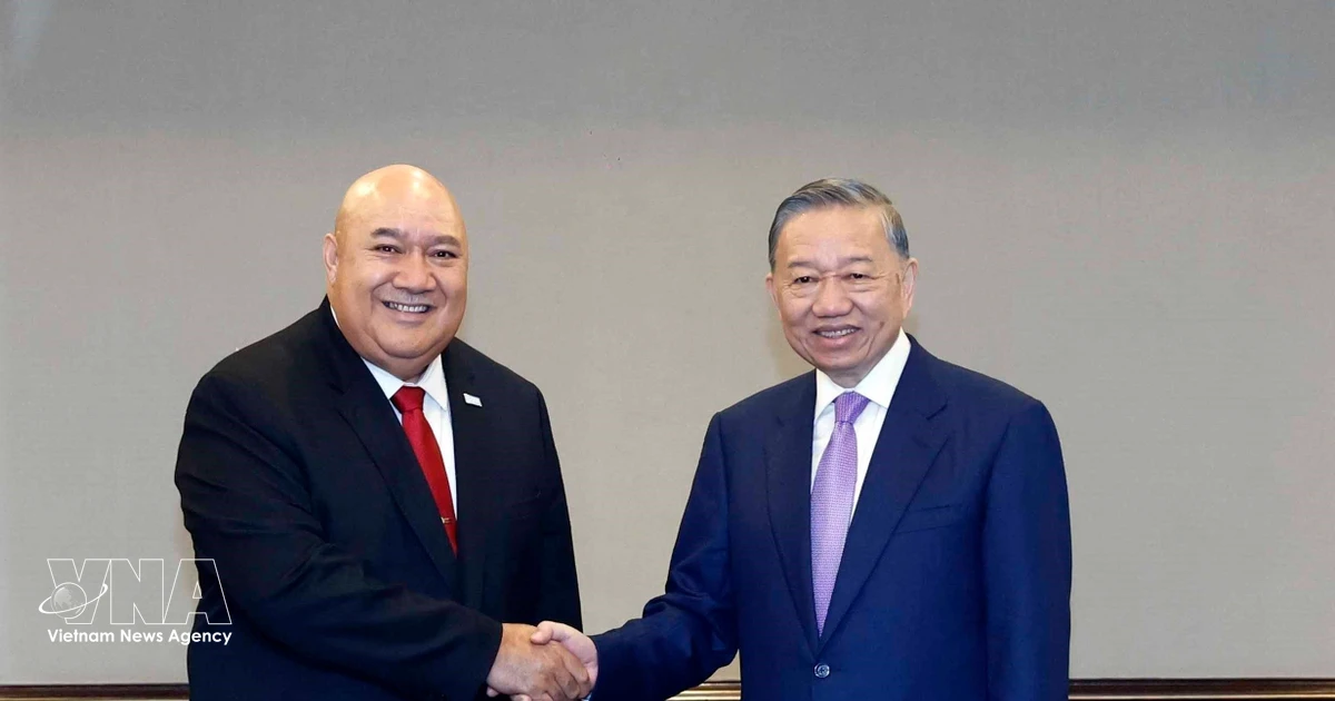 Top Vietnamese leader meets Philippines-based organisations, businesses