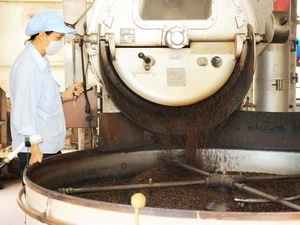 Construction of Asia’s largest instant coffee plant underway | Vietnam+ ...