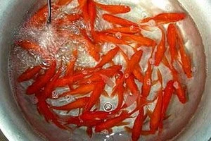 Tet traditions honour Kitchen Gods | Vietnam+ (VietnamPlus)