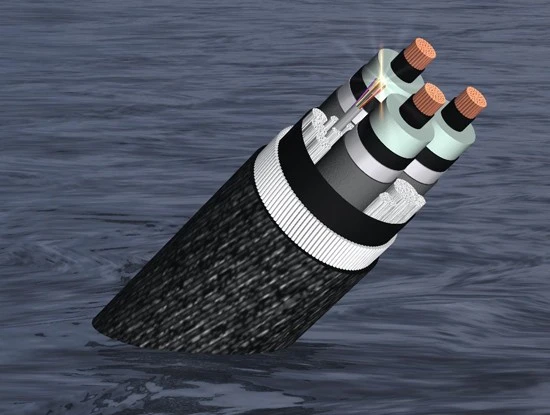 AAG submarine cable cut slows internet connectivity | Vietnam+ ...