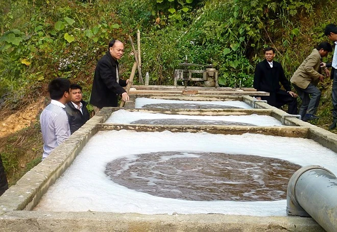 Vietnam joins POP observation project | Vietnam+ (VietnamPlus)