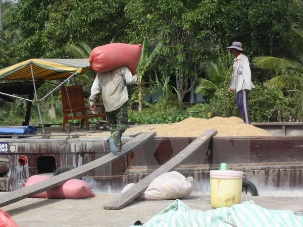 Rice stockpiling scheme in Mekong Delta nears completion | Vietnam+ ...
