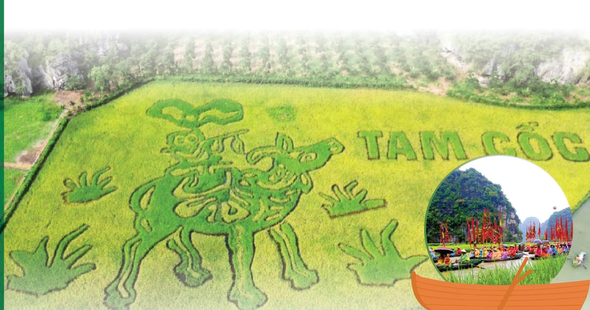 Ninh Binh Tourism Week 2024: The Yellow Colour of Tam Coc - Trang An