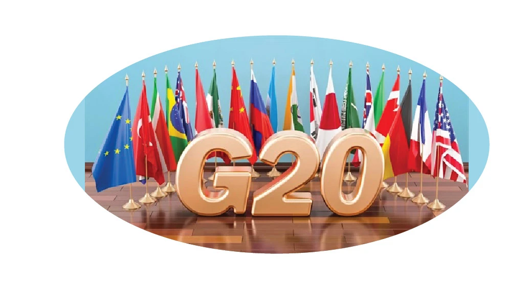 Vietnam's participation in G20 Summit | Vietnam+ (VietnamPlus)