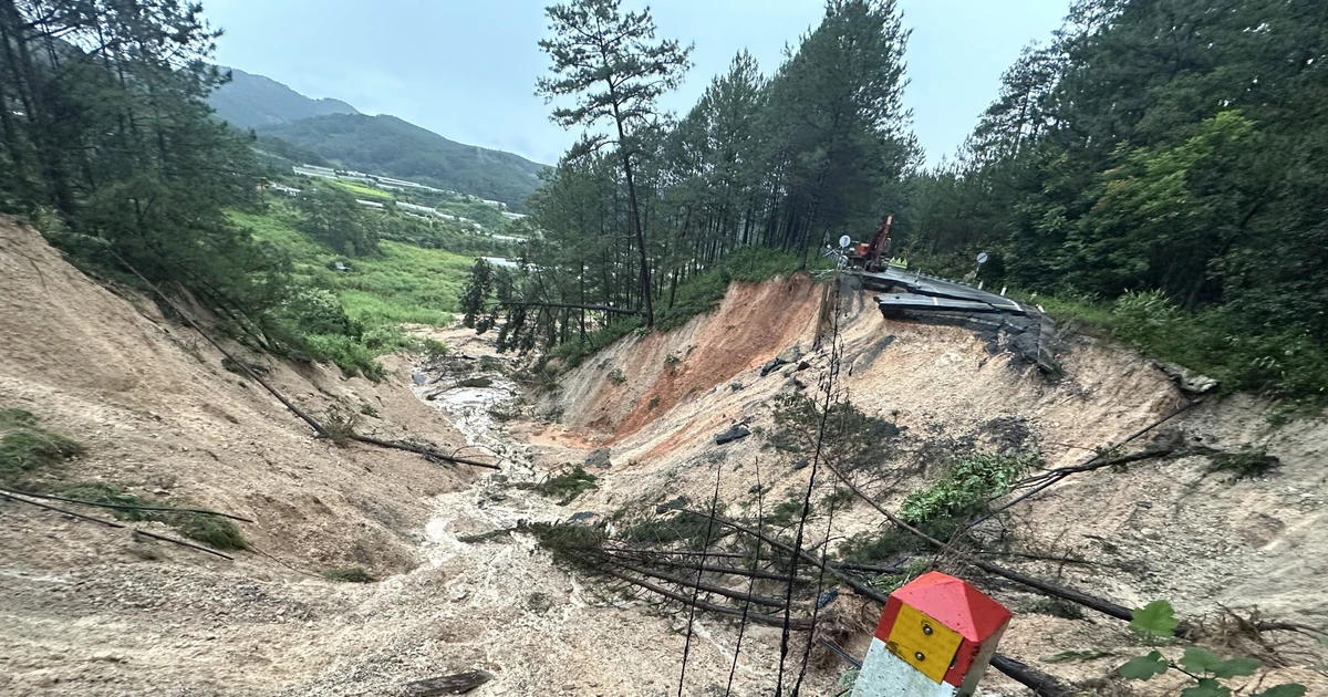 Severe landslides shut Mimosa pass, Lam Dong declares emergency