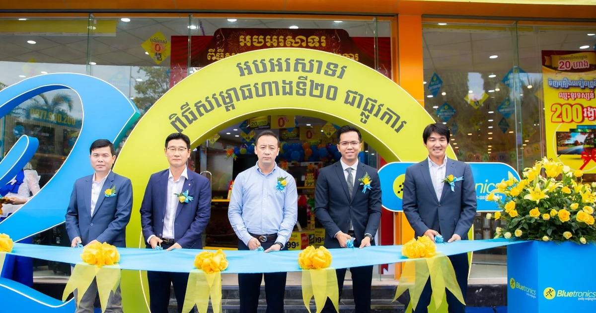 MWG's Bluetronics to reach triple the size of largest competitor in ...