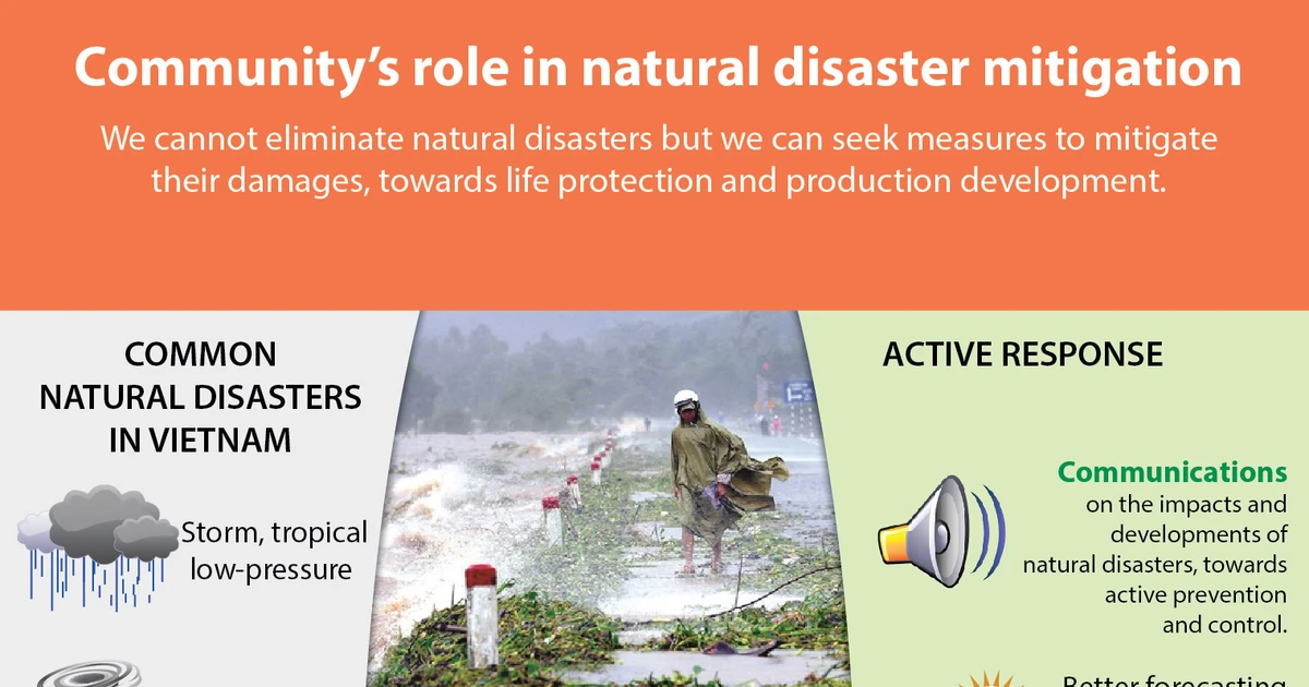 Community's role in natural disaster mitigation