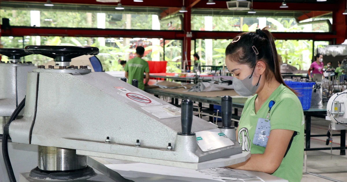 Resolution 68: Private economic sector affirms principal driver of growth, innovation | Vietnam+ ...