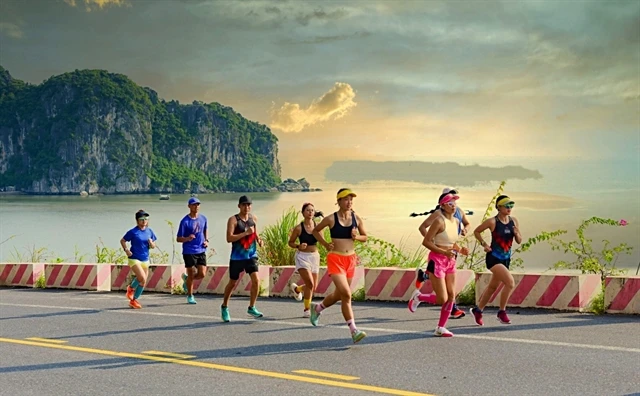 OneWay Marathon offers unique sports tourism experience | Vietnam+ (VietnamPlus)