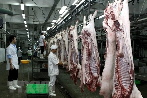 HCM City to open six cattle slaughterhouses | Vietnam+ (VietnamPlus)