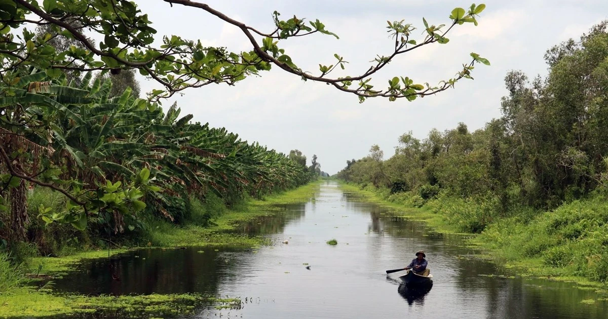 Kien Giang focuses on eco-tourism in U Minh Thuong National Park ...