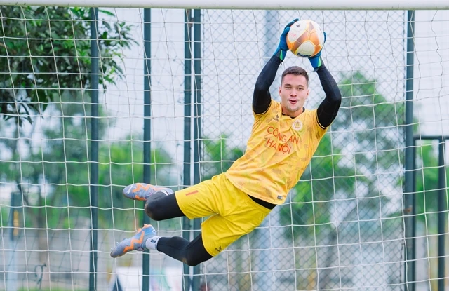 Goalkeeper Dang Van Lam withdraws from Asian Cup squad, opening door ...