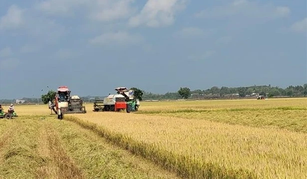 Ba Ria-Vung Tau applies high technology in farm economic development ...