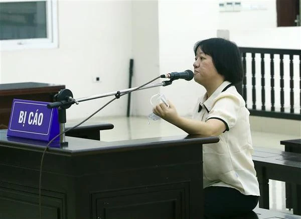 First-instance judgment upheld for anti-state propagandist | Vietnam+ (VietnamPlus)