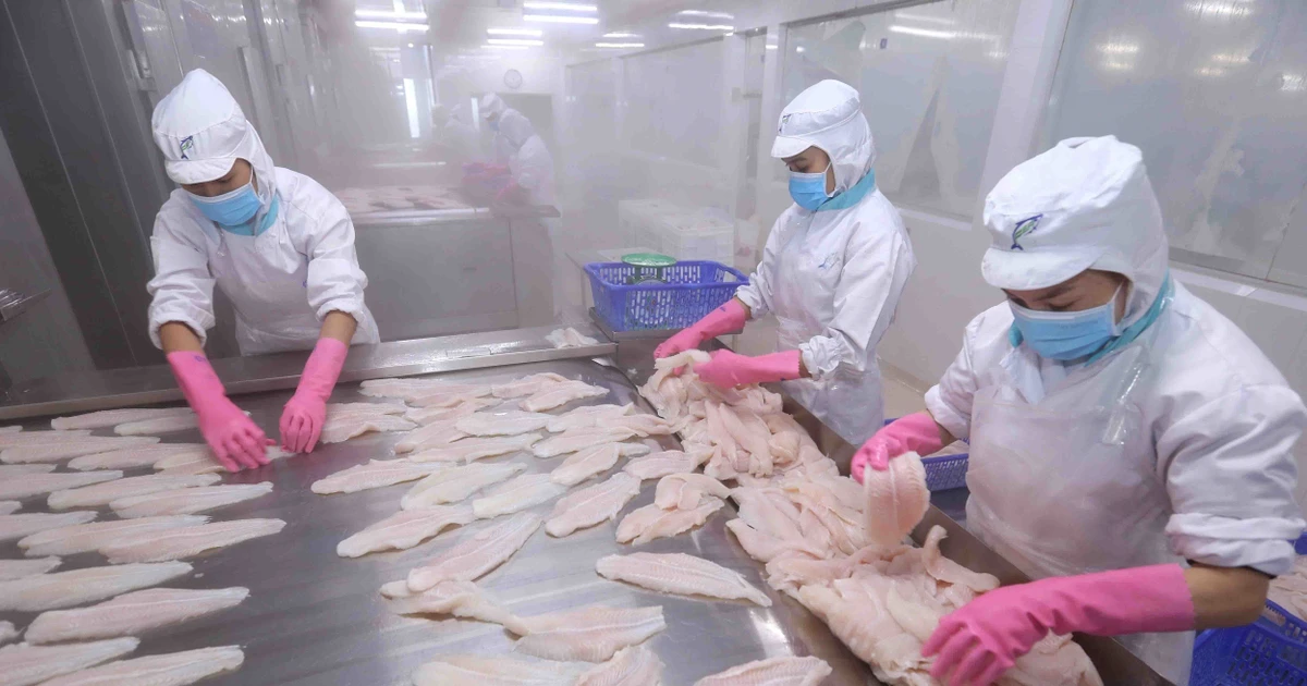 Japan among top 10 importers of Vietnam’s tra fish for first time ...