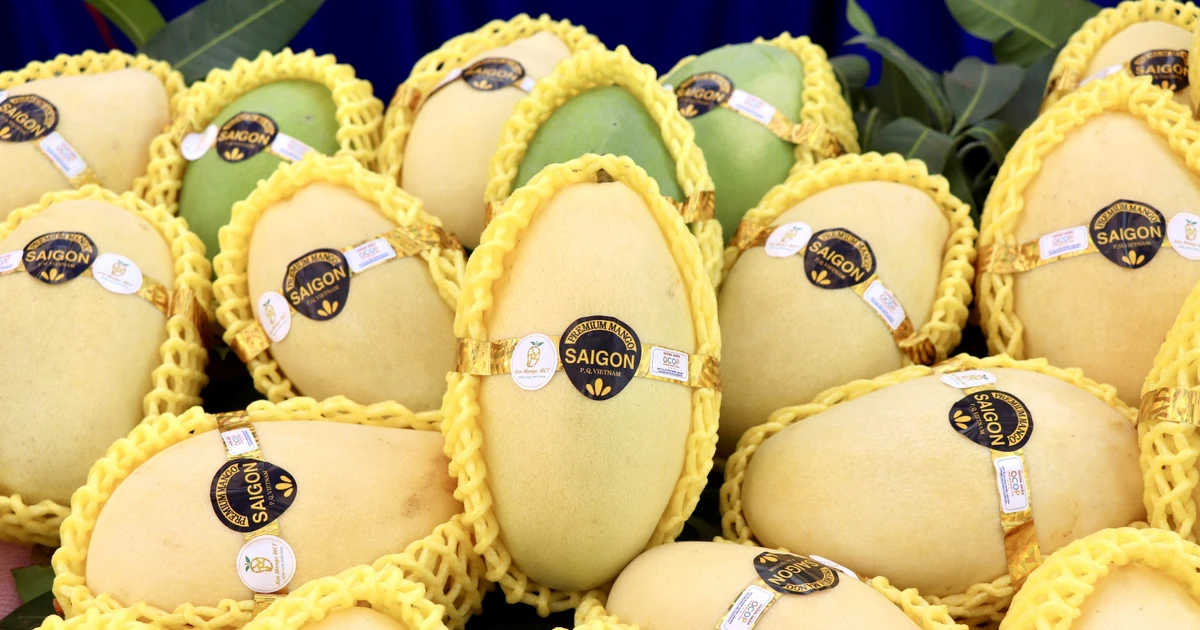 Bright prospects for An Giang mangos to conquer more demanding markets ...