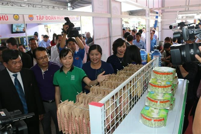 CLV Development Triangle Area promotes trade, tourism | Vietnam+ ...