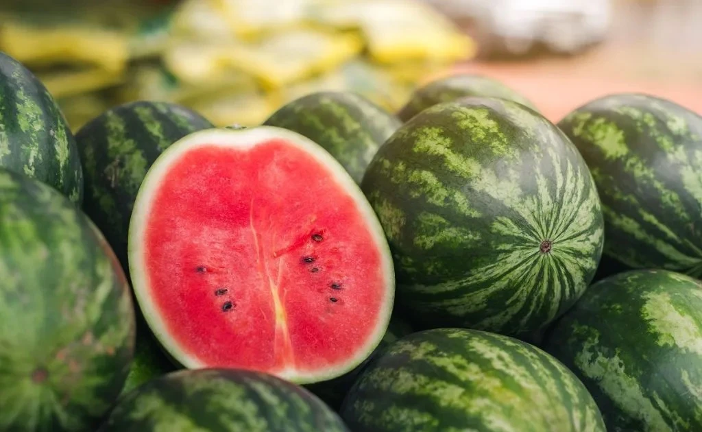 Protocol expected to raise Vietnamese watermelon shipments to China ...