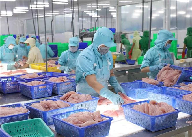 MoIT announces 218 firms as prestigious exporters | Vietnam+ (VietnamPlus)