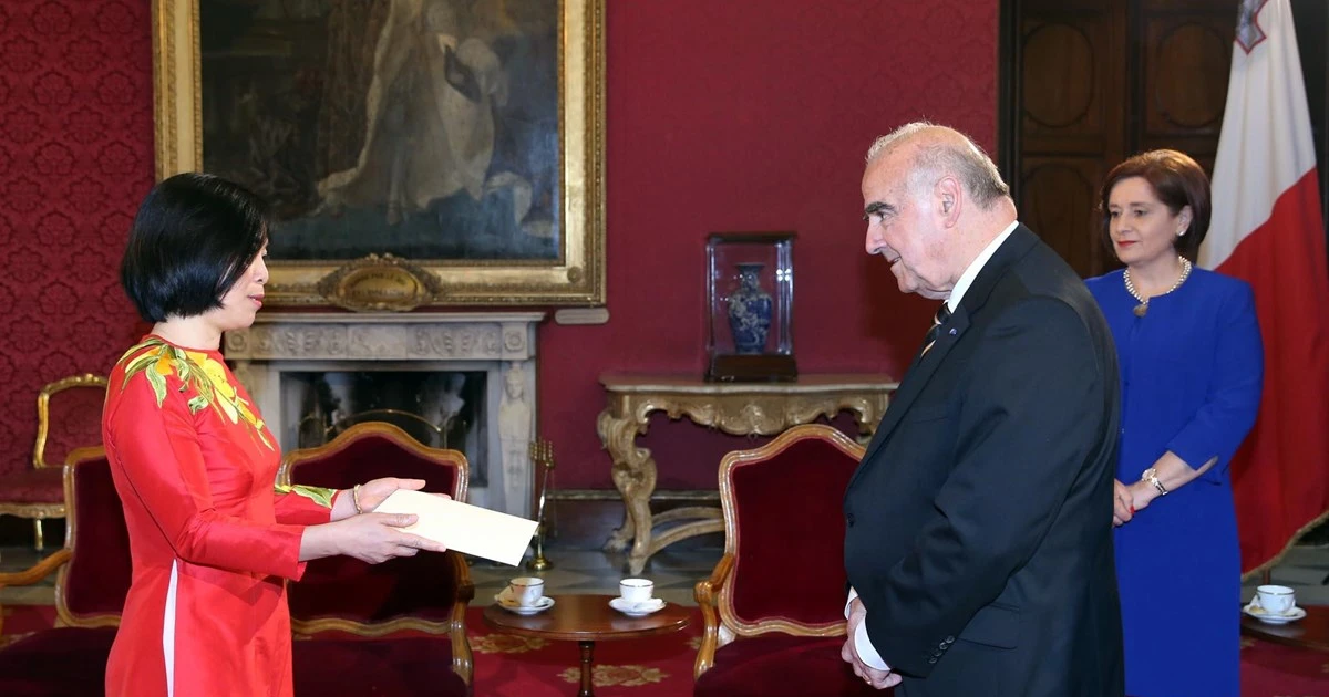 Vietnam wants to promote relations with Malta: Ambassador | Vietnam+ ...