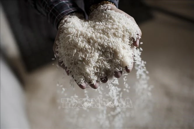 Indonesia may import another 500,000 tonnes of rice in 2023 | Vietnam+ ...