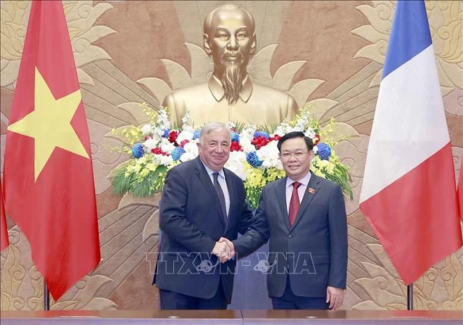French Senate President wraps up Vietnam visit | Vietnam+ (VietnamPlus)