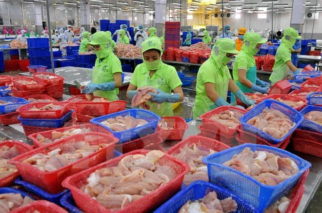 Vietnamese tra fish “stranded” in US | Vietnam+ (VietnamPlus)