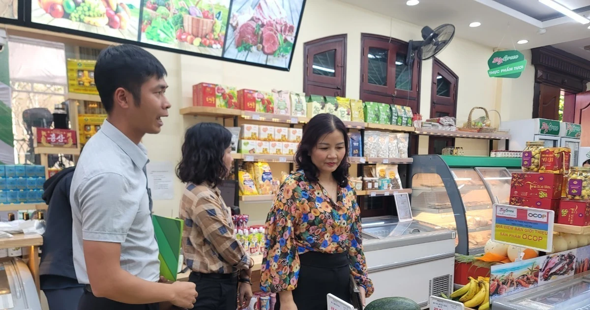 Hanoi opens more OCOP showrooms | Vietnam+ (VietnamPlus)