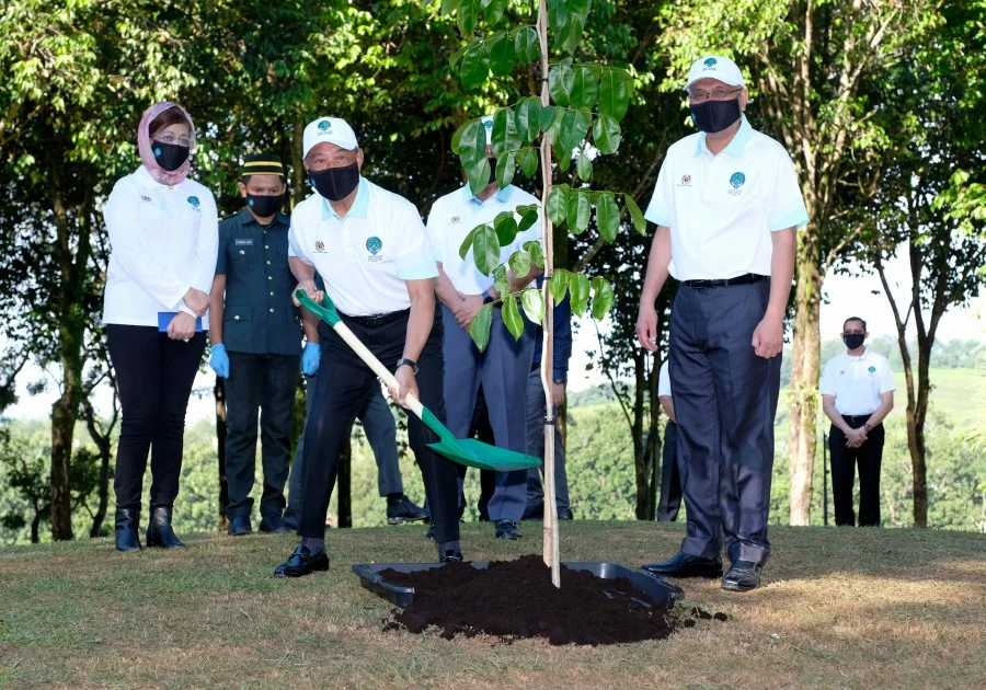 Malaysia PM launches tree planting campaign | Vietnam+ (VietnamPlus)