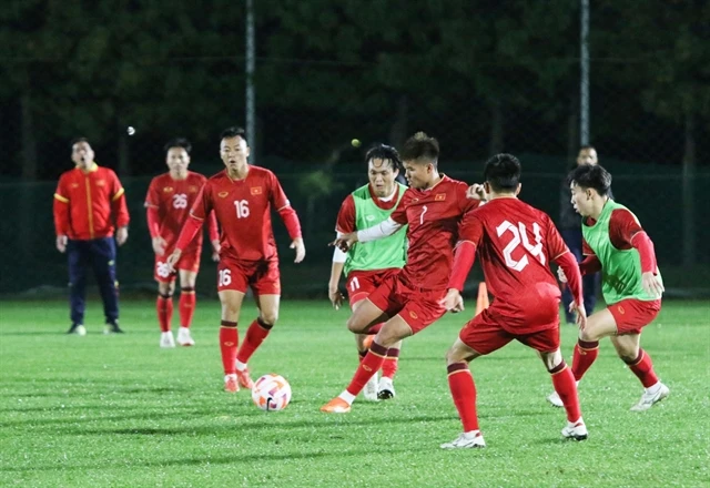 VFF set high targets for national football in 2024 | Vietnam+ (VietnamPlus)