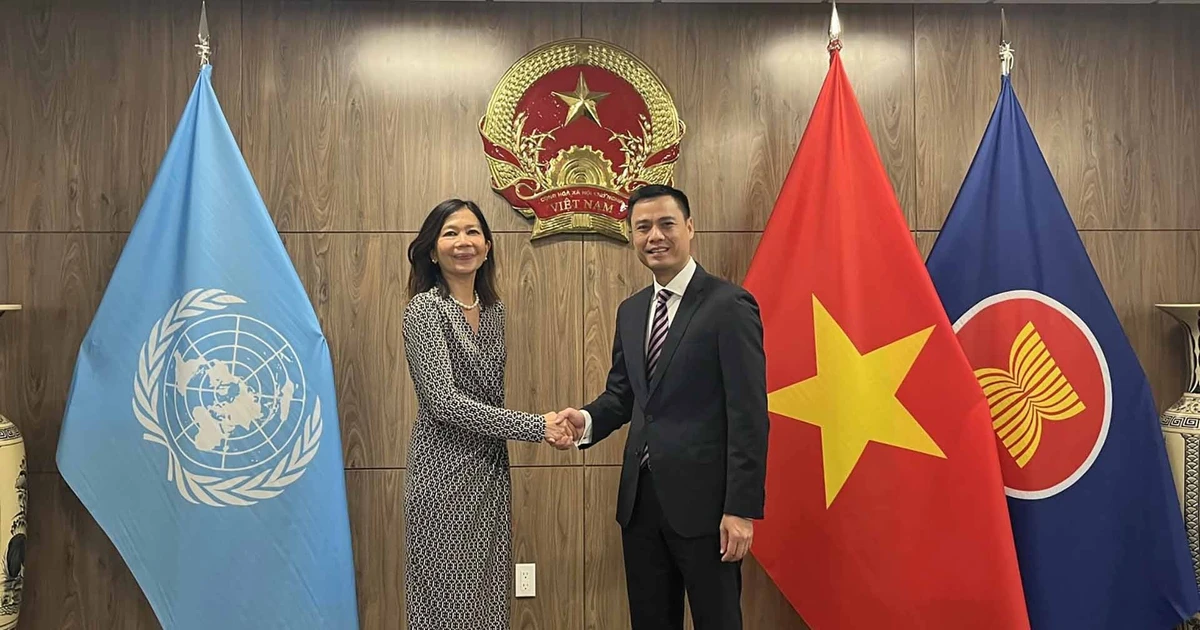 Official backs Vietnam’s priorities at UN | Vietnam+ (VietnamPlus)