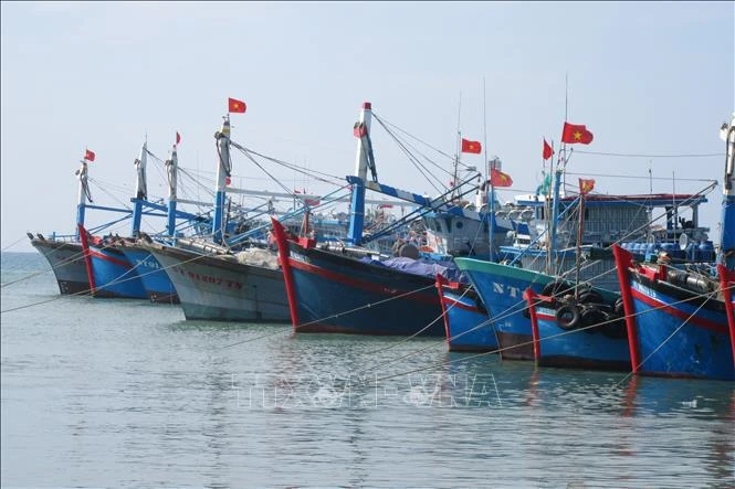 Quang Tri inspects high-risk vessels to fight illegal fishing ...