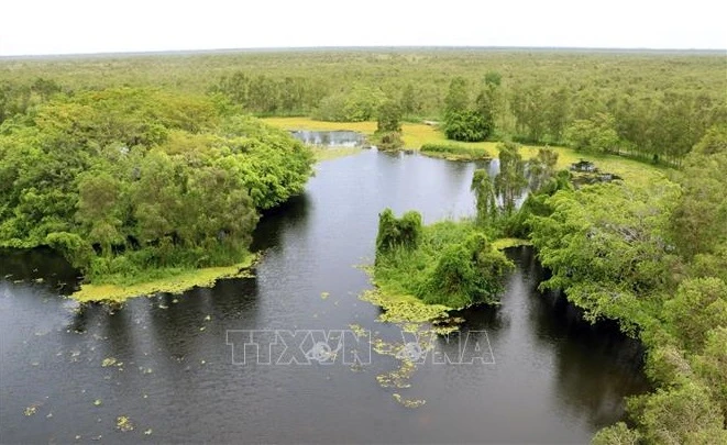 Tourists return to U Minh Thuong National Park | Vietnam+ (VietnamPlus)
